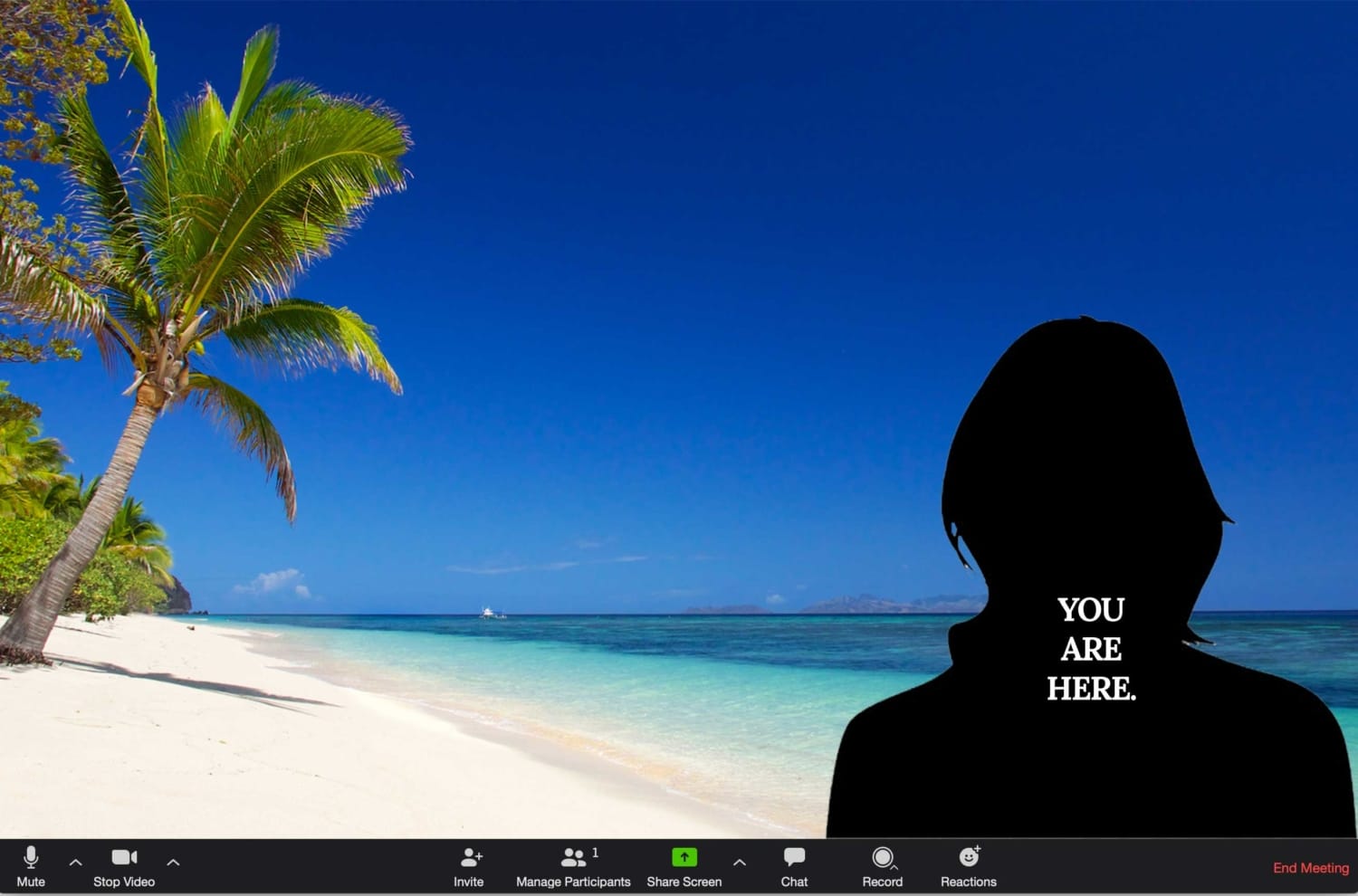 Let's pretend - Zoom Virtual Backgrounds - Vomo Island Fiji