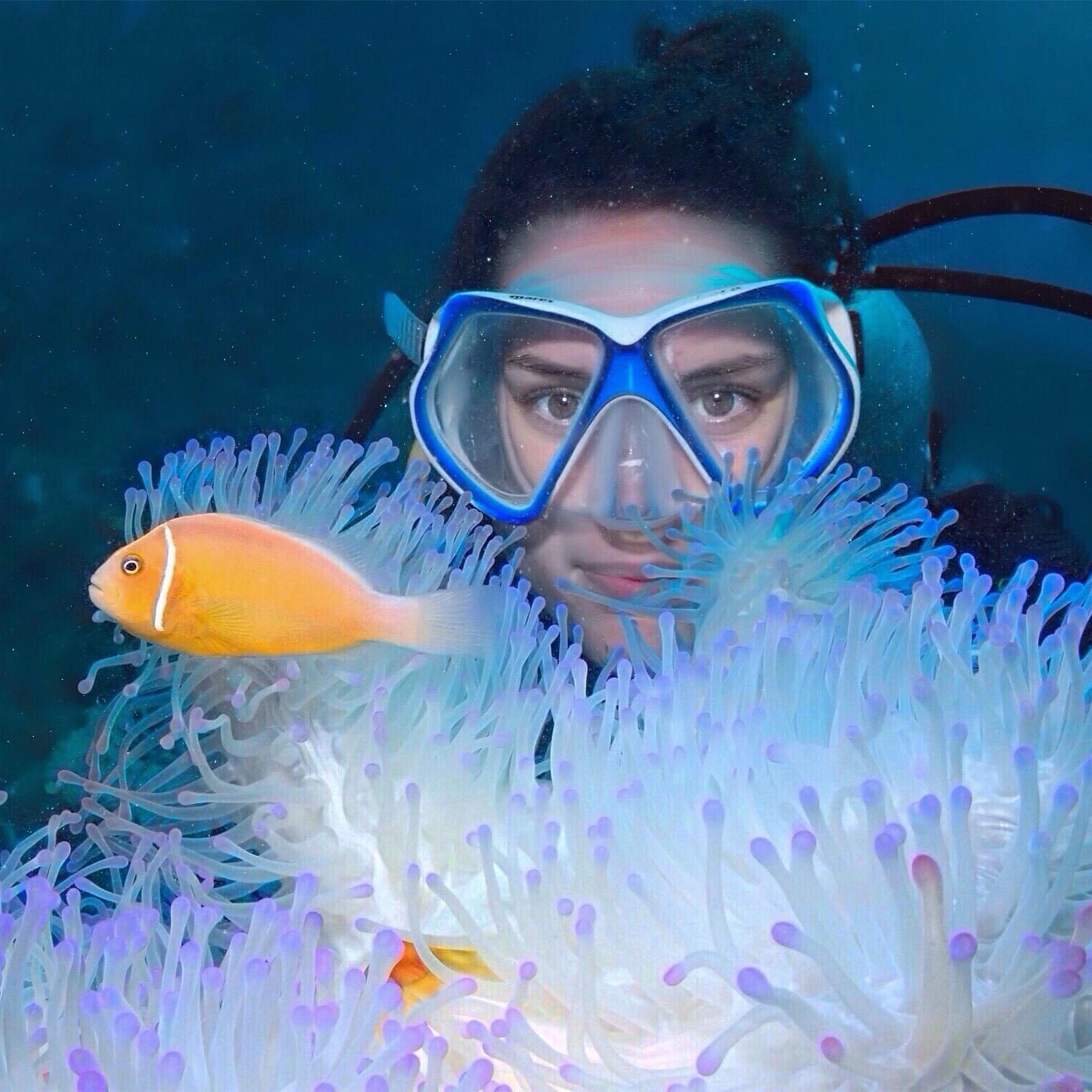 Fiji Scuba Diving - Vomo Island Fiji